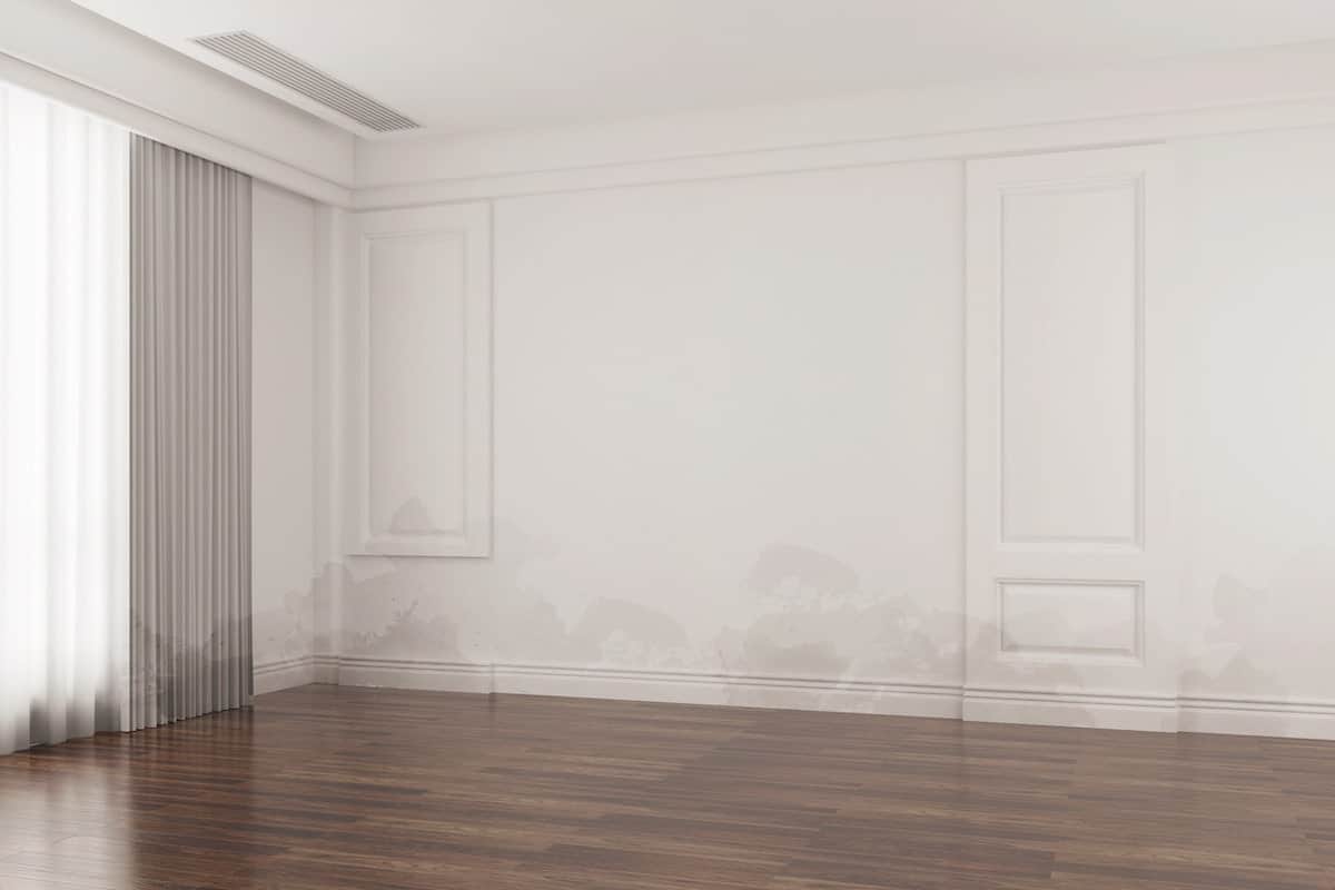 Feuchtigkeitsschäden am Haus: So reagieren Sie richtig - BauMigo